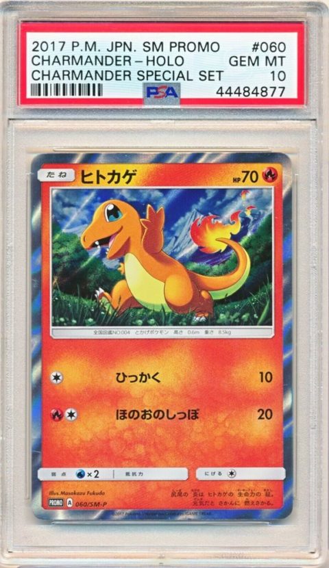Best Charmander Pokemon Cards | Search Underground