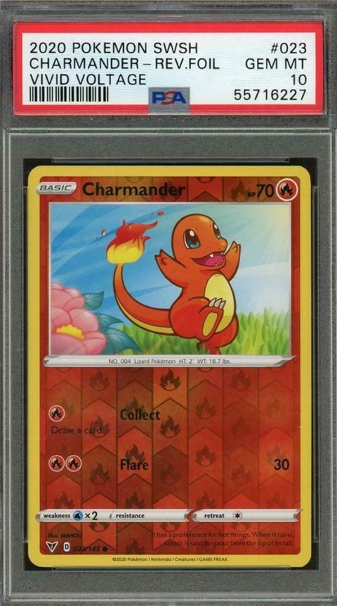 Best Charmander Pokemon Cards | Search Underground